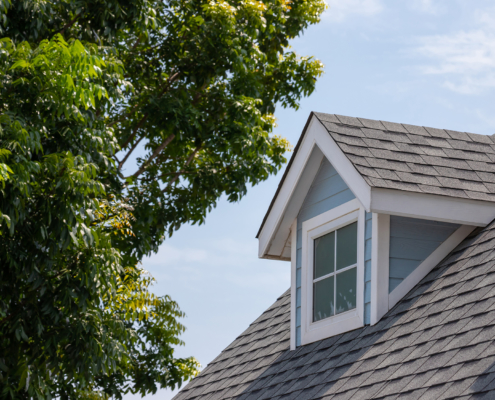 Siding Services | Elevated Contracting