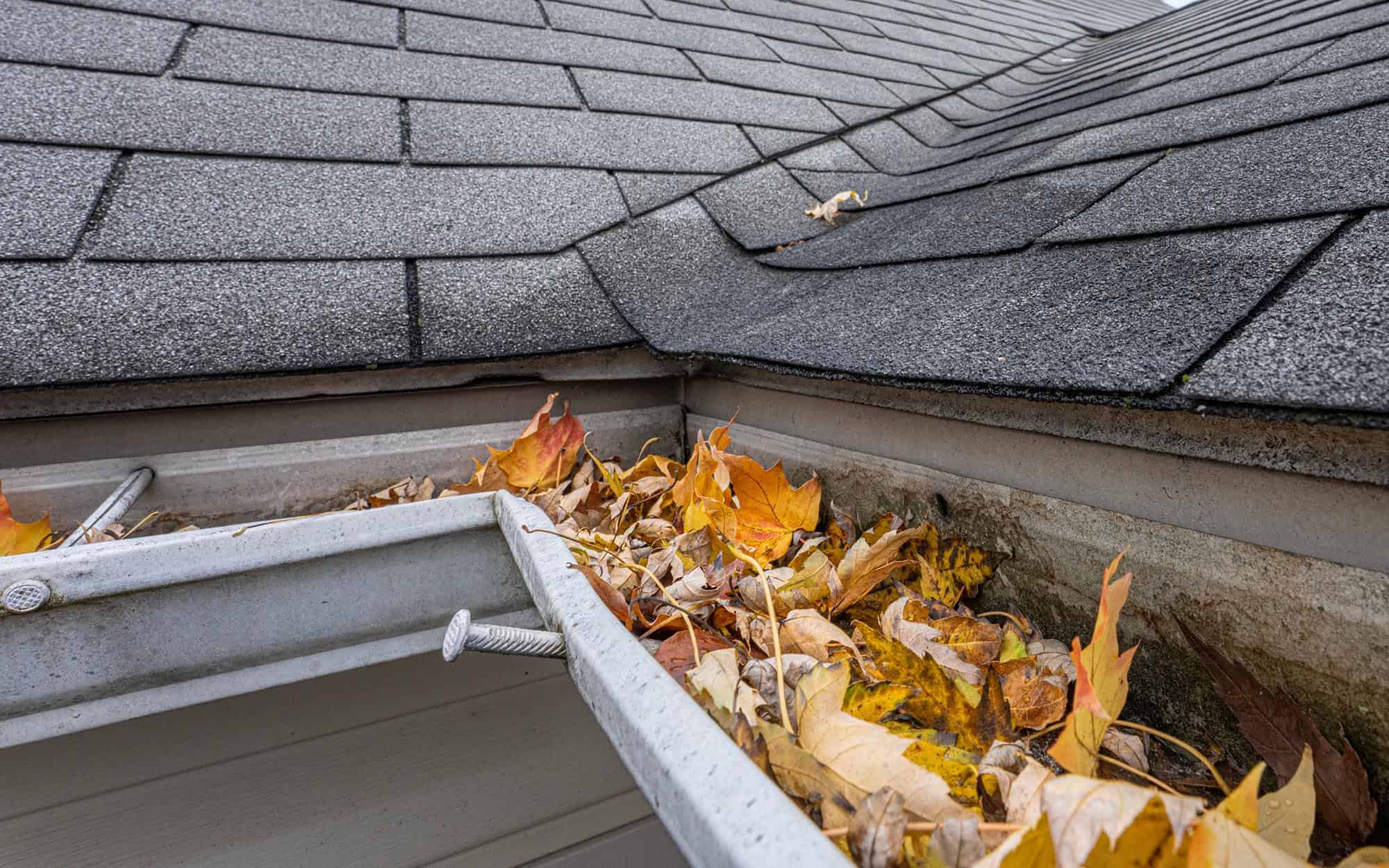 Common Roof Problems in Virginia | Elevated Contracting