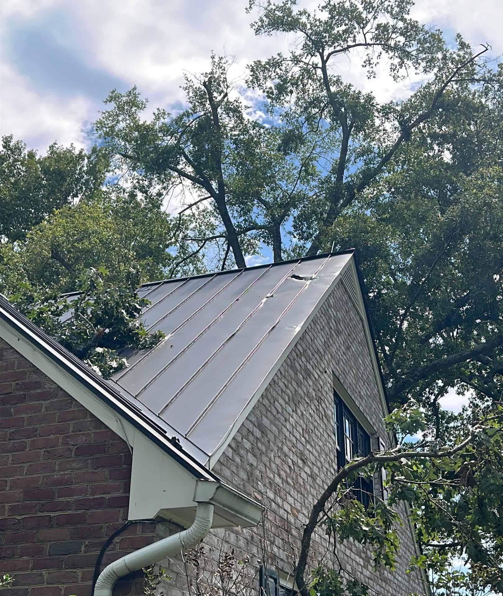 Weathering the Storm: Understanding Residential and Commercial Roof ...